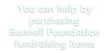 Roadmap to CF: The Bonnell Foundation
